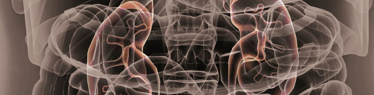 Eroth Technologies | Metabolomics Kits Services